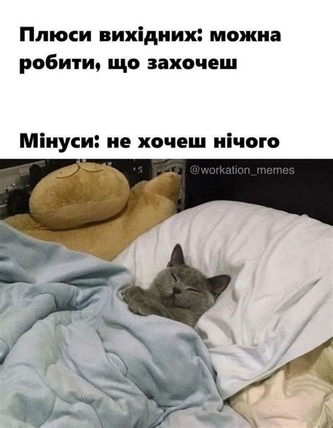 alexander berezovskyi on linkedin work job it humor ithumor dev developer development