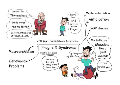 Fragile X Syndrome X Linked Mr Creative Med Doses