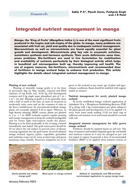 Pdf Integrated Nutrient Management In Mango