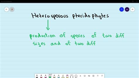 Solved The Heterosporous Pteridophytes Are A Lycopodium And Pteris B