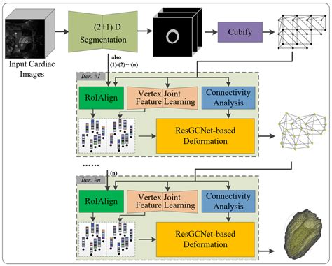 Overall Framework Of Proposed 3d Reconstruction Of The Left Myocardium