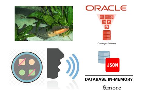 erman arslan s oracle blog natural selection and converged databases oracle finds good solutions