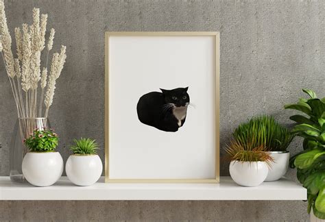 Maxwell The Cat Poster Maxwell Cat Meme Wall Art Maxwell Cat Funny