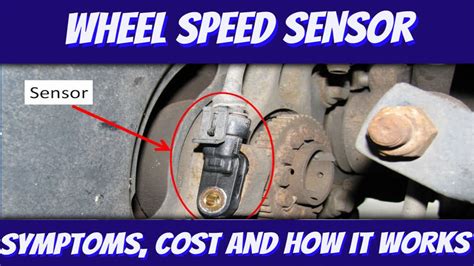 How Much Does It Cost To Replace A Speedometer Sensor Unveiled Secrets