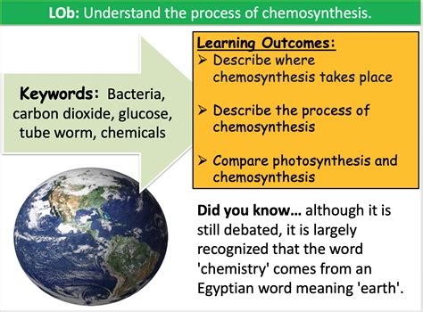 Chemosynthesis Teaching Resources