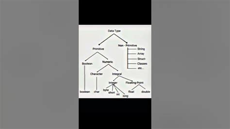 Datatype Youtube Shorts Trending Webdeveloper Webdevelopment