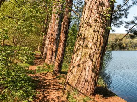 A Guide To The Walk Around Agden Reservoir She Walks In England