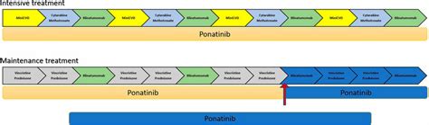 Treatment Schema For The Second Case In Which Mini Download Scientific Diagram
