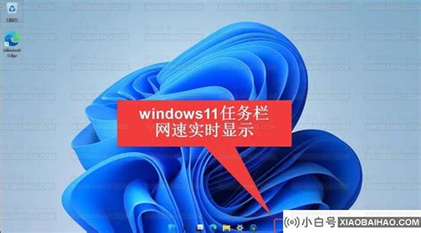 Win11任务栏如何显示实时网速？win11实时网速显示设置 小白号