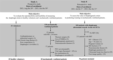 Flow Chart Of Each Phase Sbt Spontaneous Breathing Trial Mv