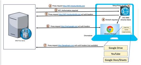 Troubleshoot Files On Umbrella Chromebook Client With Swg Cisco