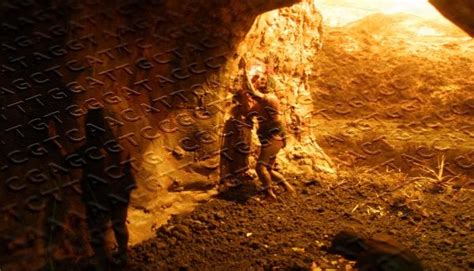 Did Neanderthals Use Complex Language
