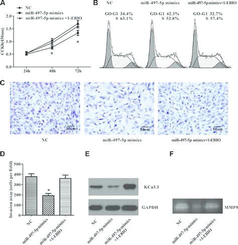 Mir 497 5p Inhibited Iso Has Cell Proliferation And Invasion By