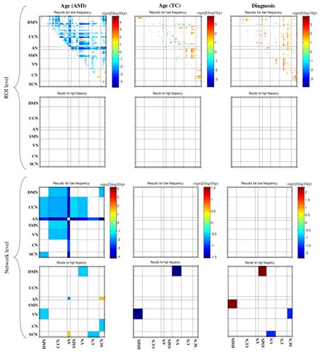 Functional Connectivity Analyses With Respect To Age And Diagnosis