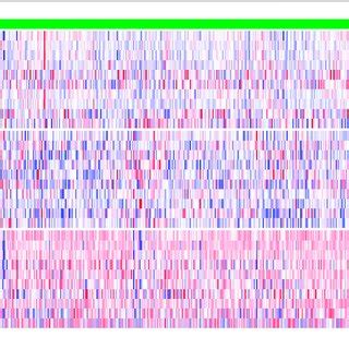 Heatmap Of The Z Score Normalized Gene Expression Of The Molecular
