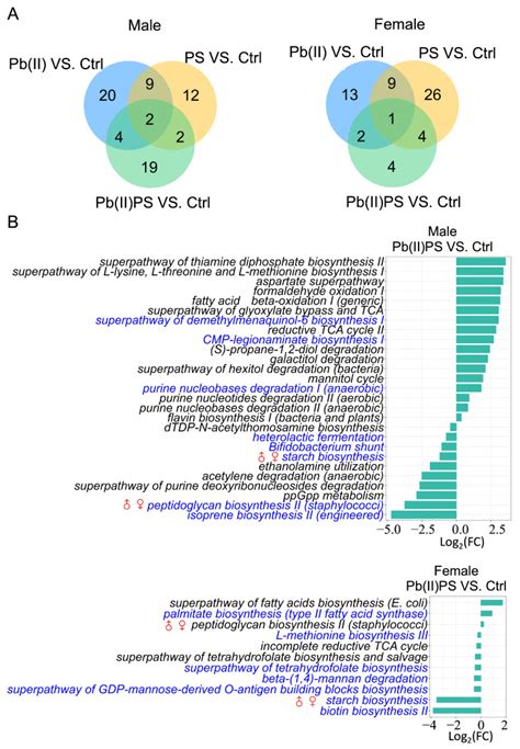 Sex Specific Effects Of Polystyrene Microplastic And Lead Ii Co Exposure On The Gut Microbiome