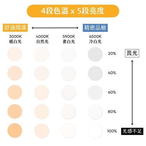 【ohbig X Madworks】18倍3d Led調光調色護眼放大鏡 鋼彈模型刻線原型筆塗 金工齒模昆蟲標本 露天市集 全台最