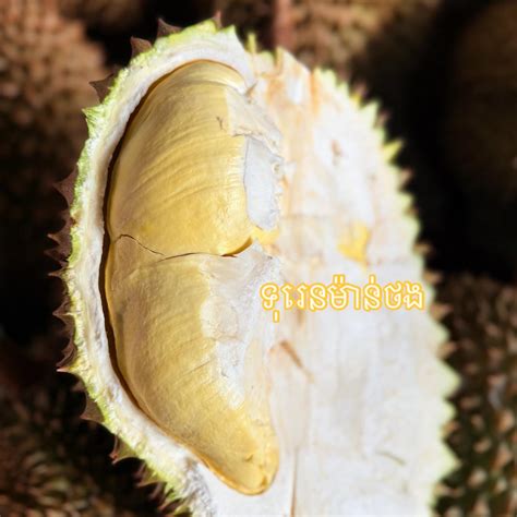 ចំការទុរេន ហ៊ឹម ស៊ីវន Added A New ចំការទុរេន ហ៊ឹម ស៊ីវន