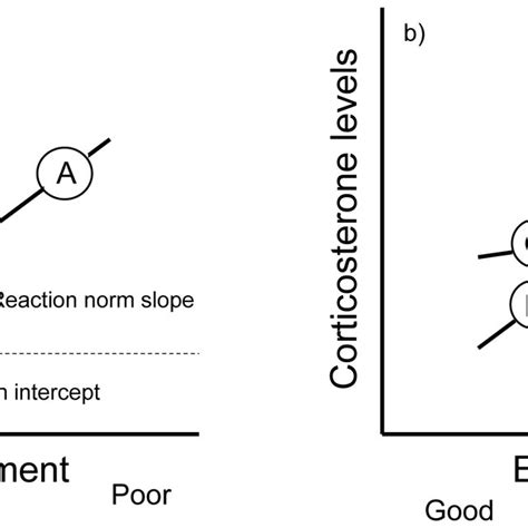 The Concept Of Reaction Norms Reaction Norms Are The Phenotypic Download Scientific Diagram
