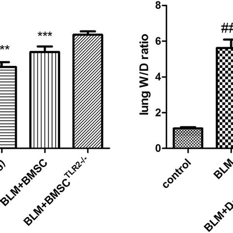 The Morphology Of Bmsc On The 3rd And 7th Day After Bmsc Extraction Download Scientific Diagram