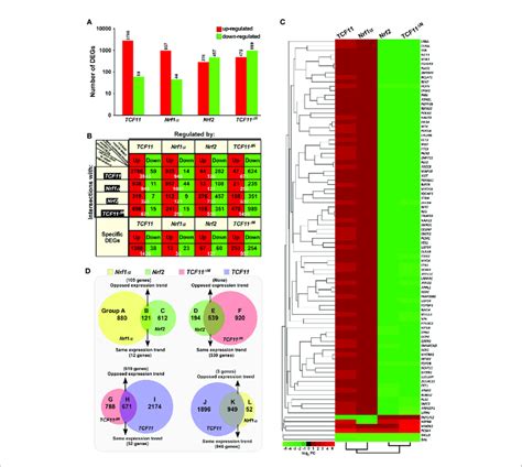 Statistical Analysis Of The Data Obtained From Transcriptome