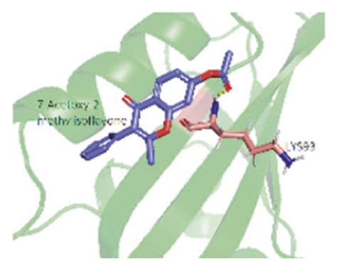 The Top 10 Binding Energy Docking Modules Download Scientific Diagram