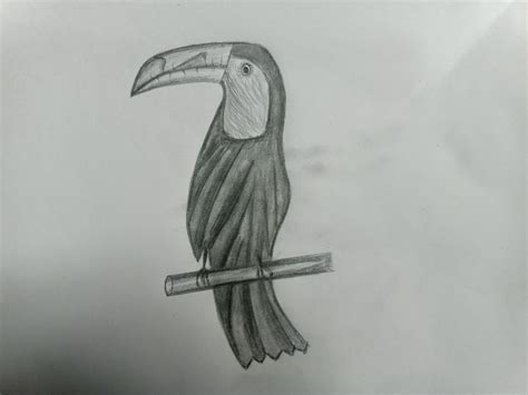 How To Draw Realistic Bird Step By Step Tutorial Pencil Drawing Bird Drawings Realistic