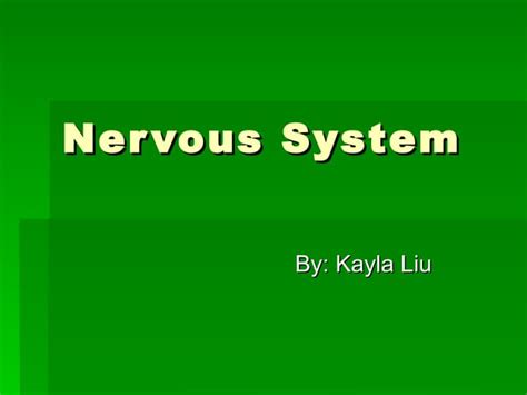 Nervous System Ch 12 Ppt