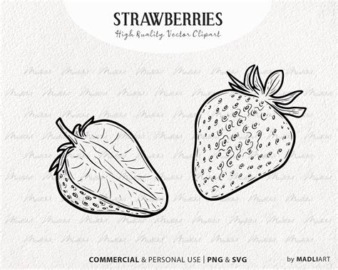 Strawberry Svg Clipart Vector Strawberries Outline Etsy