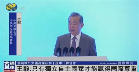 王毅：中日韩要知道自己的根在哪里，头发染得再黄、鼻子修得再尖也变不成西方人腾讯新闻