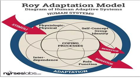 Roys Adaptation Modelpptx