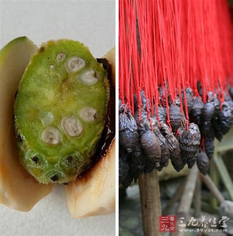 槟榔虫咬了 虫咬 大山谷图库