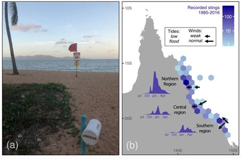 Forecasting Mdpi On Linkedin Mdpiforecasting Forecasting Sustainable Ocean Prediction