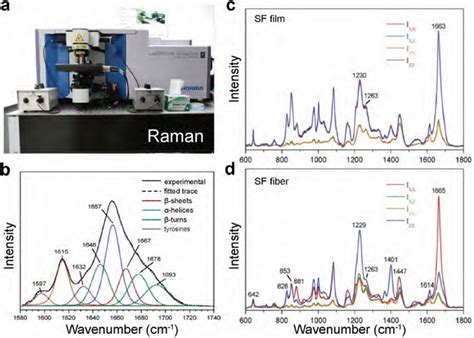 18 Raman Spectroscopy For Characterizing Secondary Structure And Download Scientific Diagram