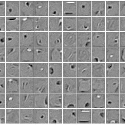 Display Of The Input Weights Of A Random Subset Of The Hidden Units