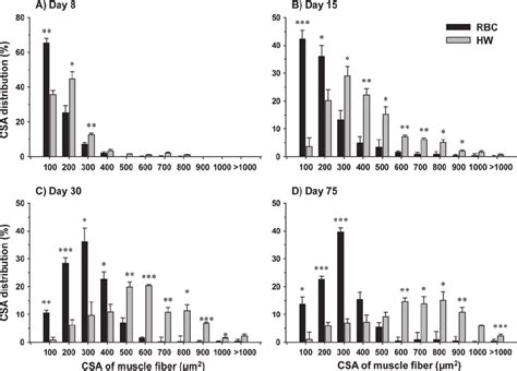 Comparison Of Muscle Fiber Cross Sectional Area Csa Composition In