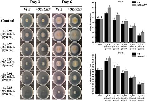 Mycology Journal On Linkedin Aspergillus