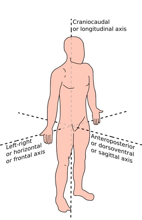 Filebody Roundness Index Formulasvg Wikimedia Commons