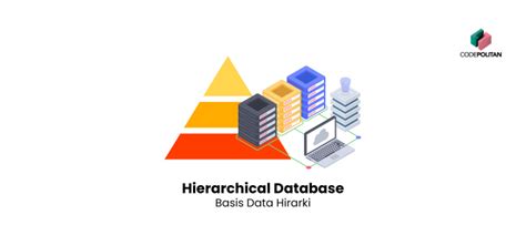 Jenis Jenis Database Intip Lebih Jauh Macam Jenis Database Yuk Codepolitan