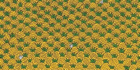 파인애플 사이 숨어있는 옥수수는 몇 개이고 어디 있는지 찾으실 수 있습니까 심리테스트 해볼래