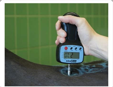 Algometry Measurement At The Level Of The 14th Thoracic Vertebra Pain Download Scientific