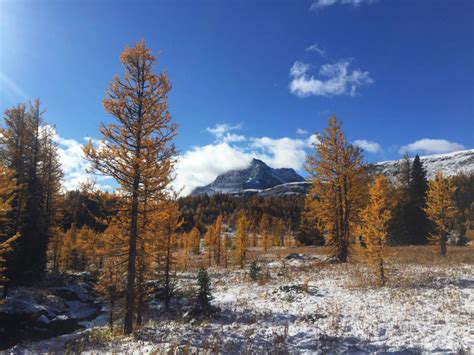 Healy Pass Banff Alberta [oc] [3264 X 2448] Scrolller
