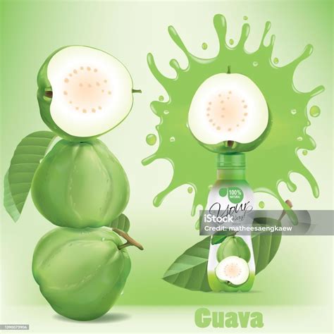 구아바 과일 병 디자인 과아바 과일 주스 스플래시일러스트 벡터 0명에 대한 스톡 벡터 아트 및 기타 이미지 0명 Pineapple Guava 건강한 생활방식 Istock