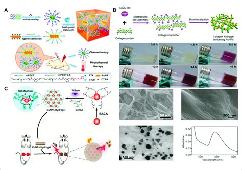 A Preparation Of Gold Nano Hydrogel And Its Application In Download Scientific Diagram