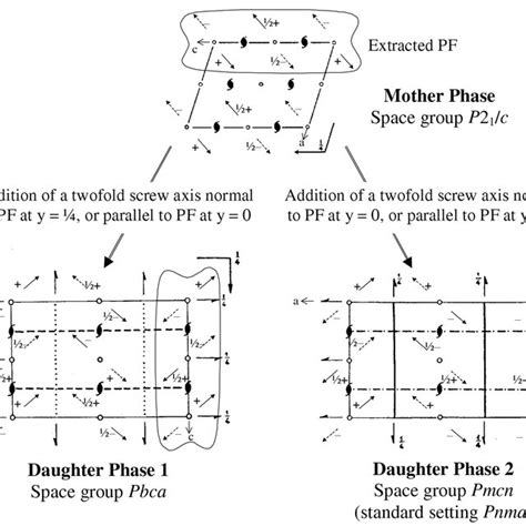 Application Of The Dcp Model To The Diastereomeric Salts Download