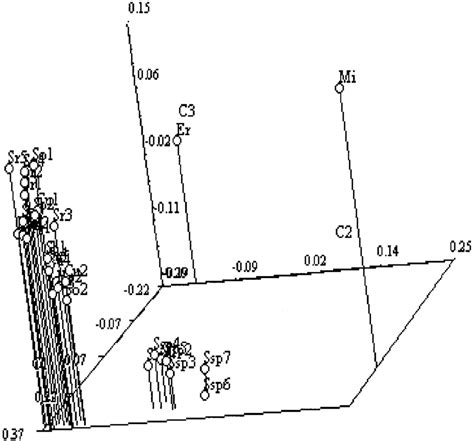 Association Among 30 Genotypes From A Sugarcane Germplasm Collection As Download Scientific