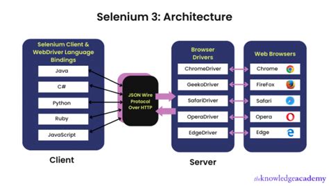 Comparing Selenium 3 And Selenium 4 A Comprehensive Analysis To The