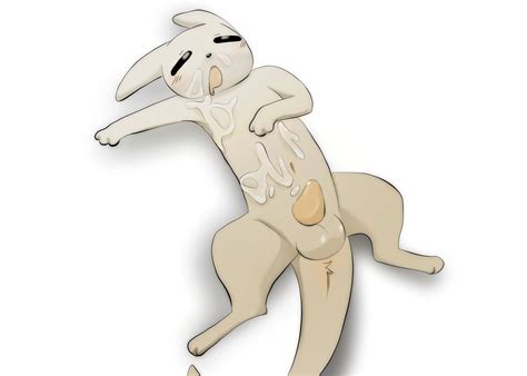 Rule 34 Anthro Balls Bodily Fluids Cum Genital Fluids Genitals Male Male Only Penis Rain World