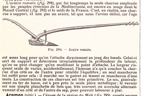 Outils Anciens Art Populaire Araire