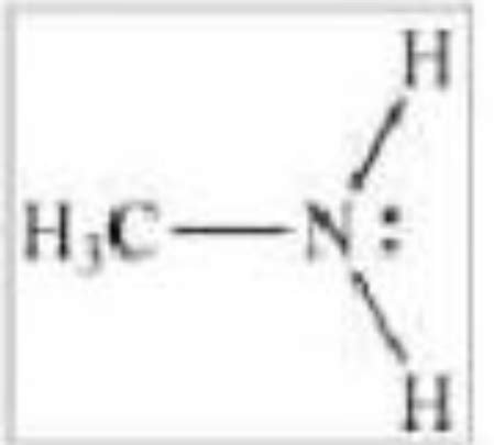 Solved Is This Molecules Functional Group Ether Phosphate Chegg Com